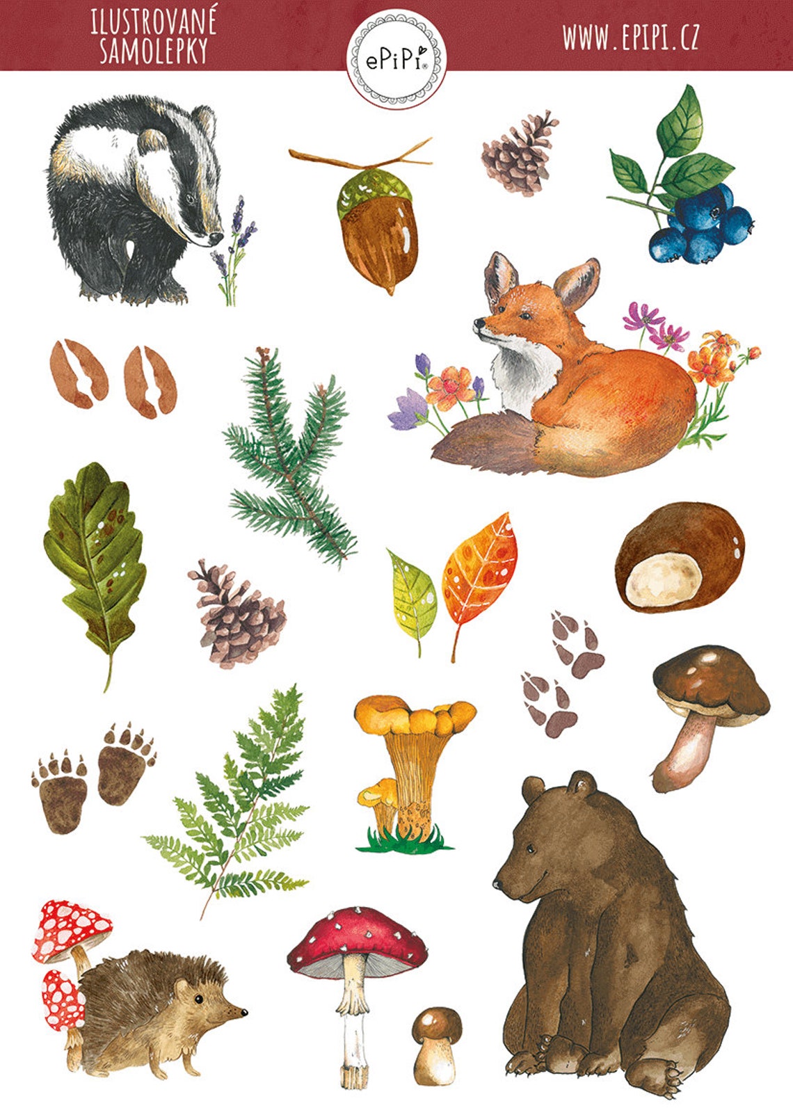 Forest Animals Stickers. Original Aquarelle Illustration. 22 Stickers ...
