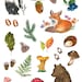 Forest Animals Stickers. Original Aquarelle Illustration. 22 Stickers ...