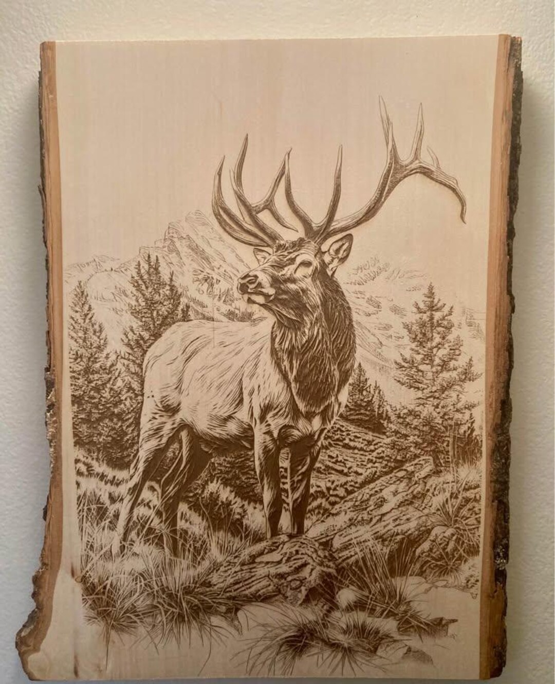 Laser Engraved Elk on Live Edge Wood | Rustic Wildlife Wall Art ...