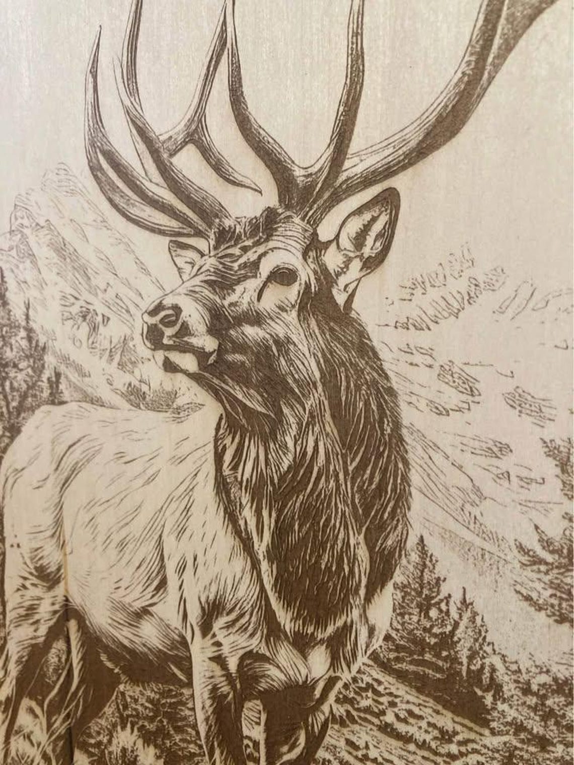 Bull Elk Engraving on Live Edge Wood Plank - Etsy