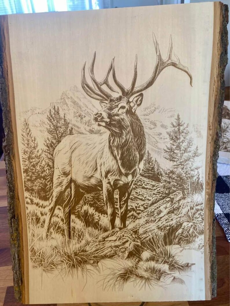Bull Elk Engraving on Live Edge Wood Plank - Etsy
