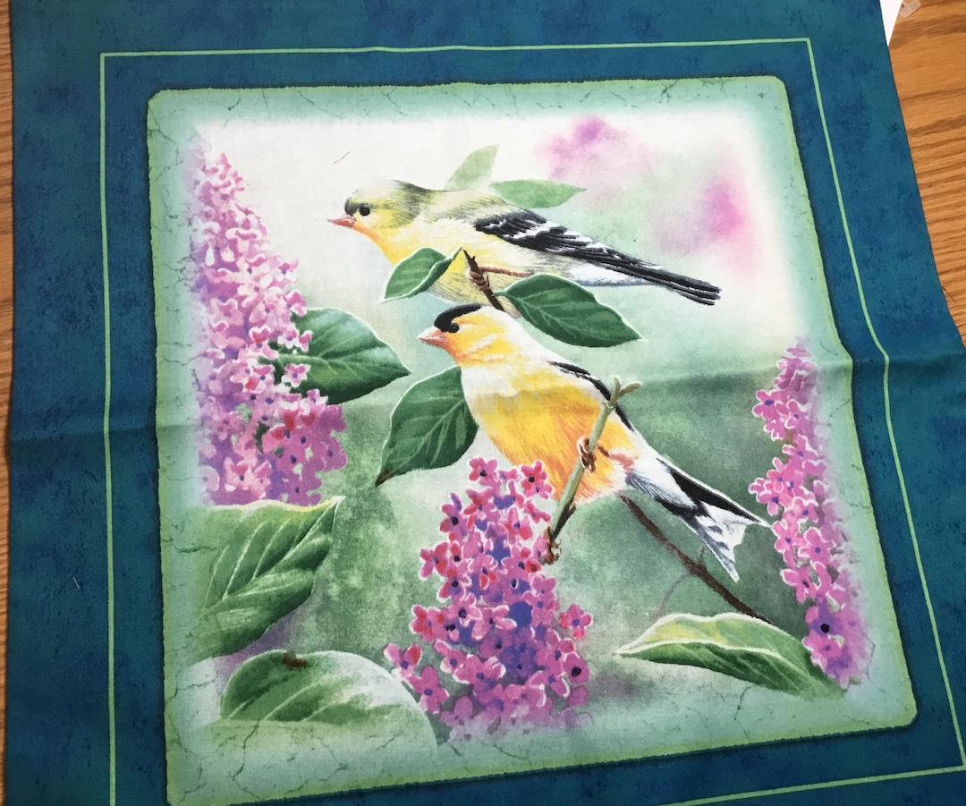 Songbirds, American Goldfinch, American Robin, Bluebird, Chickadee ...