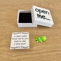 Turtle Gifts - 60+ Gift Ideas for 2024