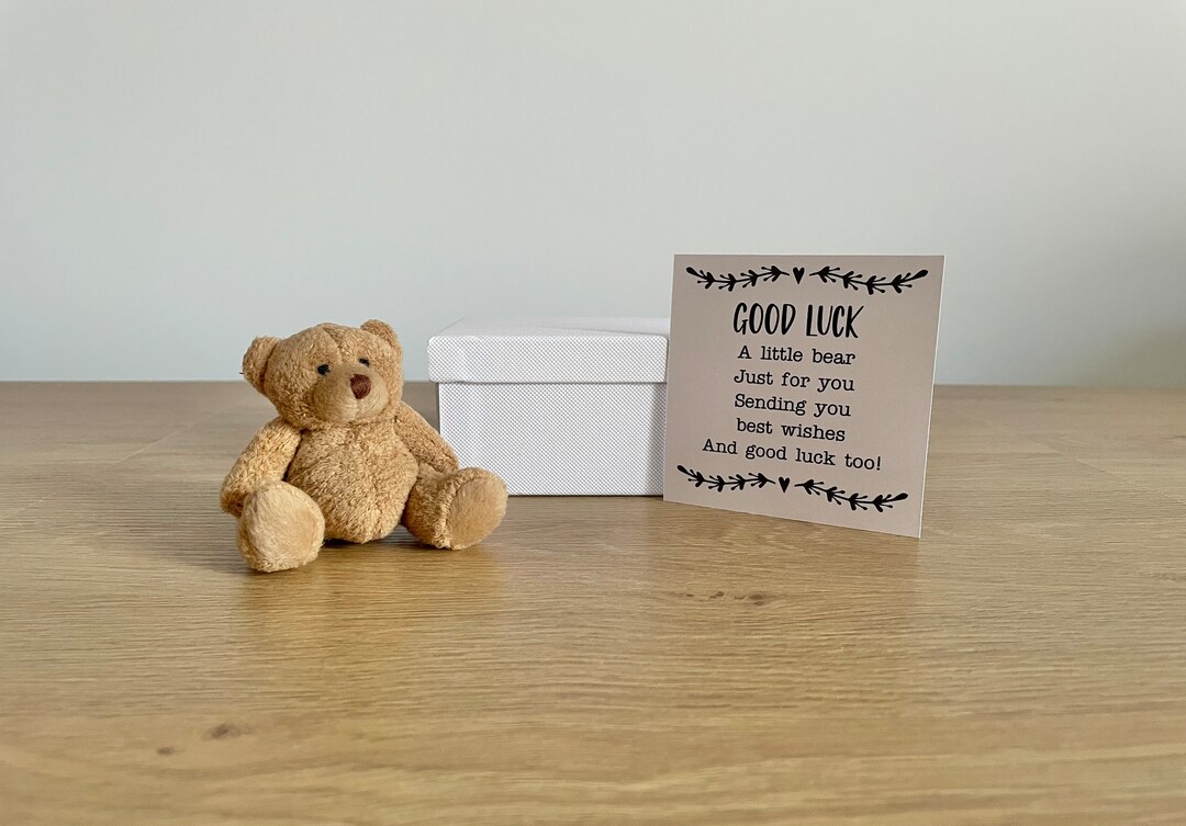Good Luck Gift, Pocket Bear Keepsake, Good Luck Exams Gift, Comfort ...