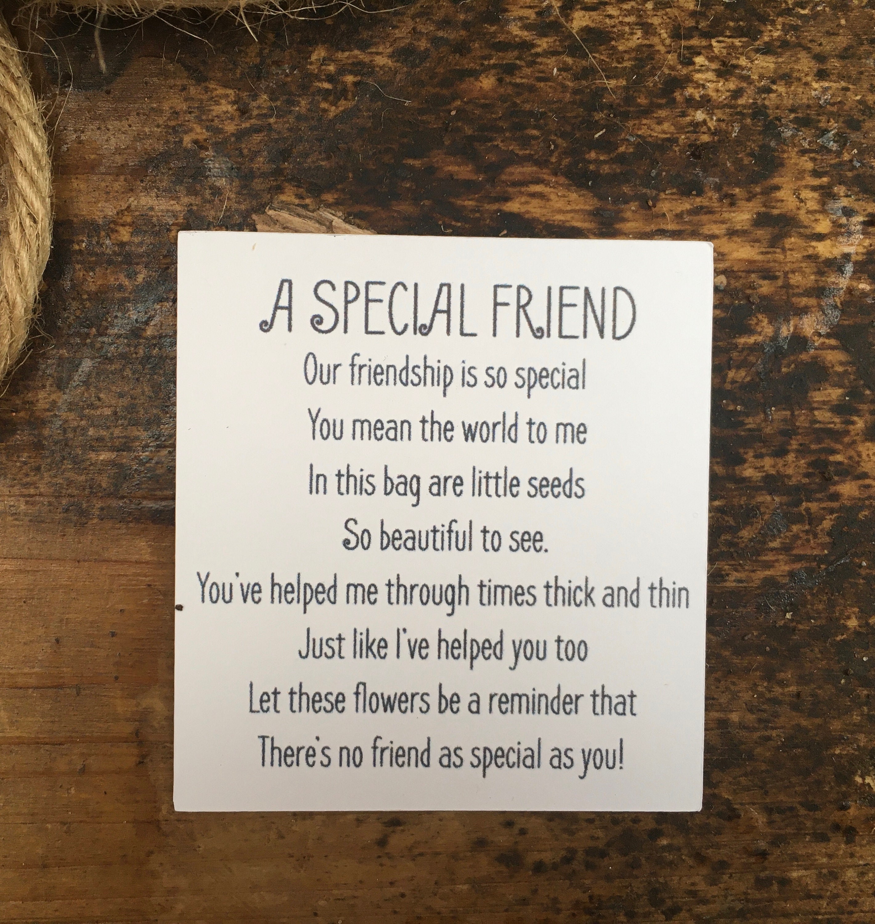 Friendship Gift Seed Kit Grow Your Own Friend Garden Gift - Etsy UK
