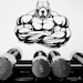 Gym Wall Decor Dog Bodybuilder Gym Stickers Fitness Wall Art - Etsy