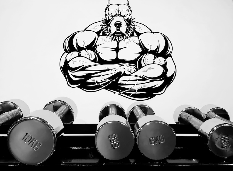 Gym Wall Decor Dog Bodybuilder Gym Stickers Fitness Wall Art - Etsy