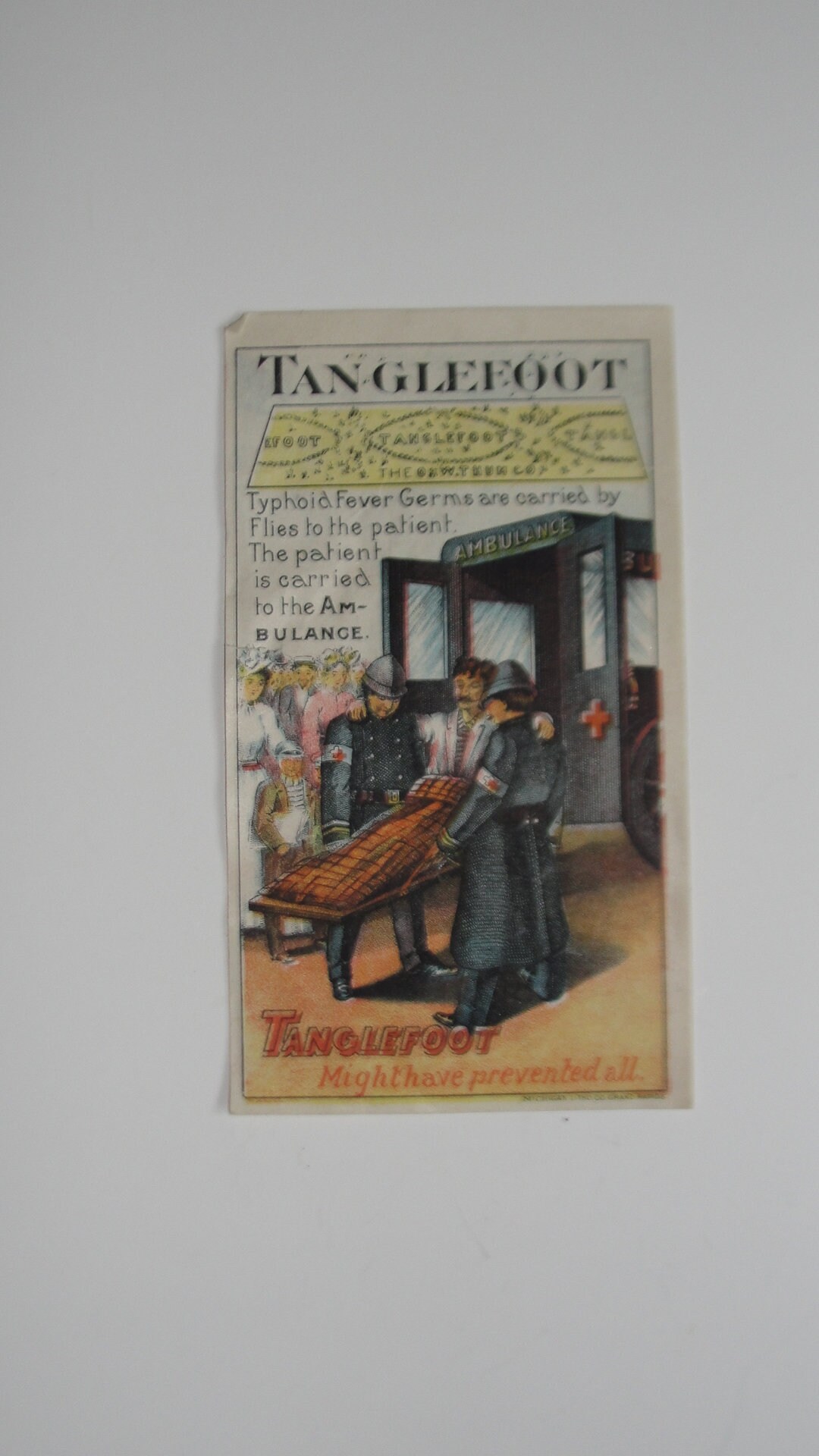 Antique TANGLEFOOT Sticky Fly Paper Advertising typhoid Fever ...