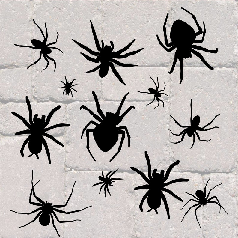 Realistic Spiders SVG, Halloween Spiders SVG, Individual Spiders SVG - Etsy