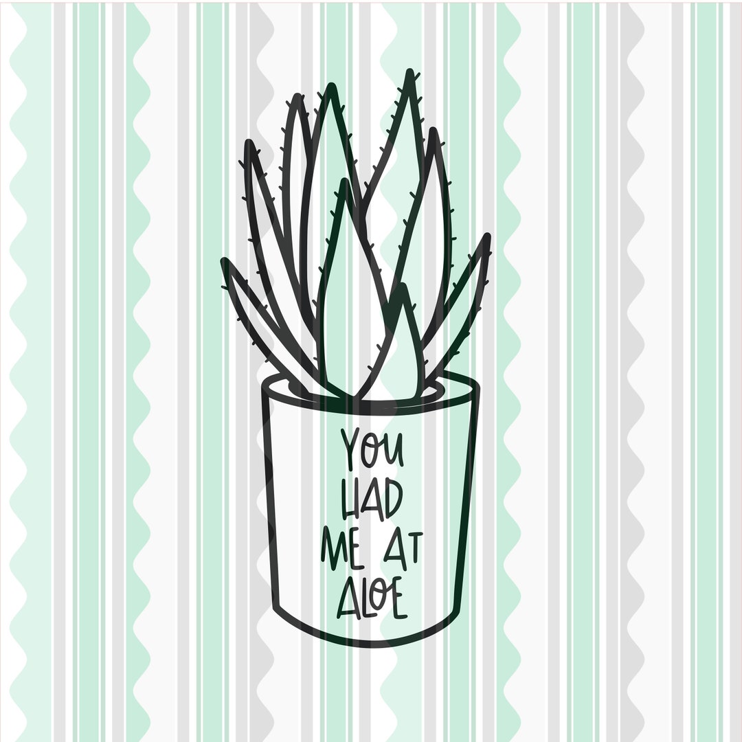 You Had Me at Aloe Svg, Aloe Svg, Aloe Pun Svg, Plant Pun Svg, Punny ...