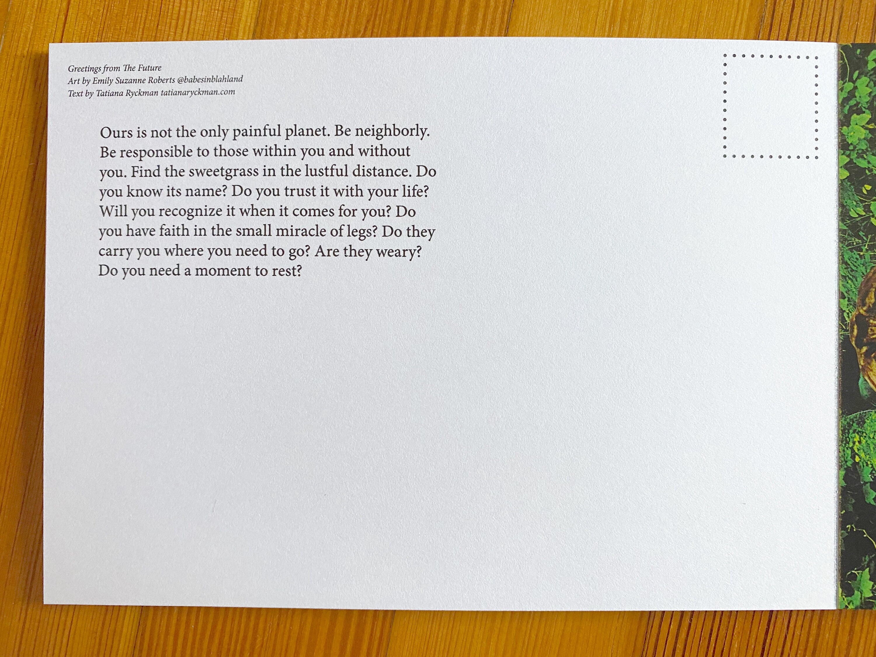 Postcard Book Greetings from The Future | Etsy