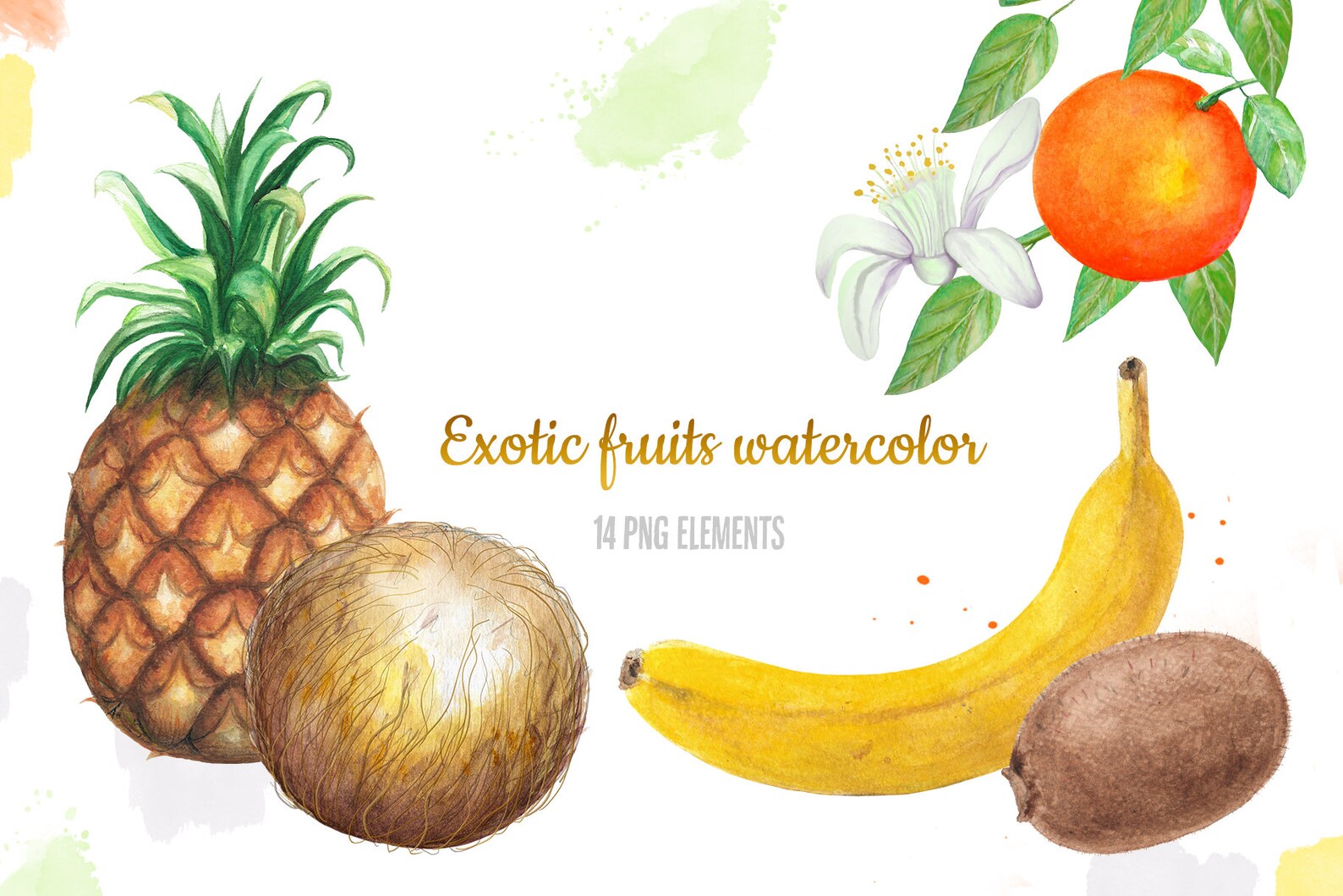 Watercolor Exotic Fruits Clipart Digital for Instant Download. Tropical ...