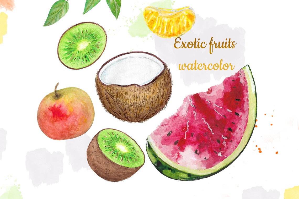Watercolor Exotic Fruits Clipart Digital for Instant Download. Tropical ...
