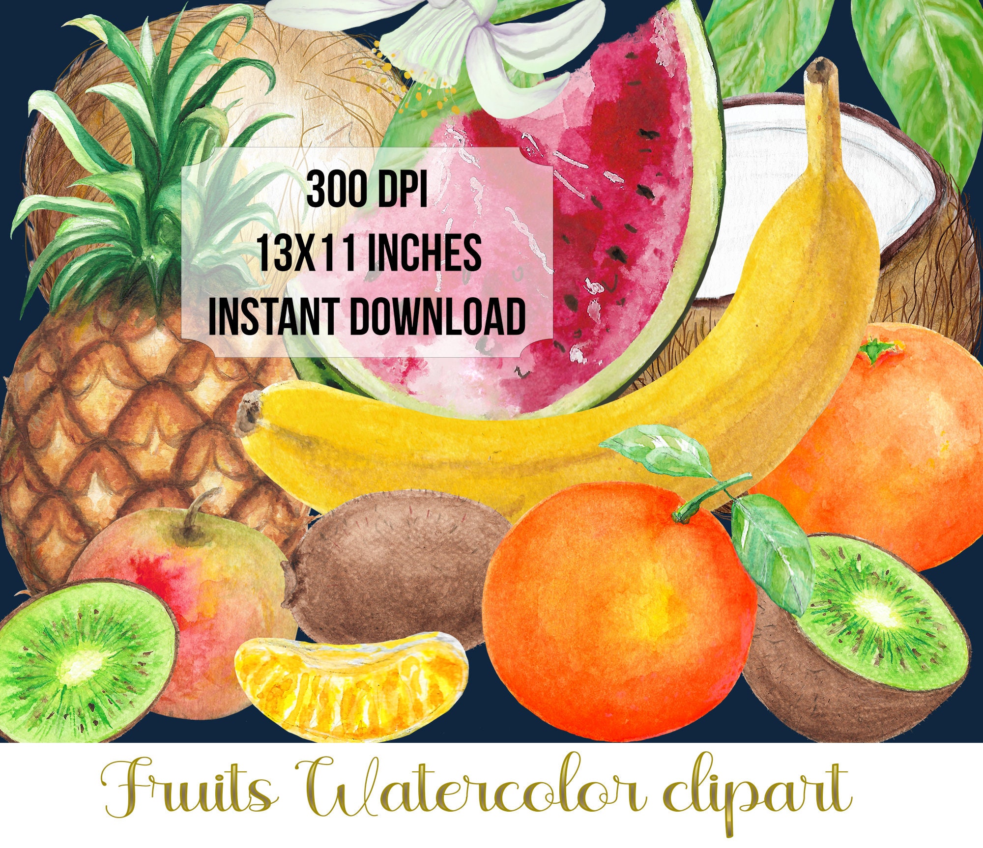 Watercolor Exotic Fruits Clipart Digital for Instant Download. Tropical ...