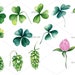 Watercolor Clover Clipart, St Patricks Day Clipart, Shamrock Clipart ...