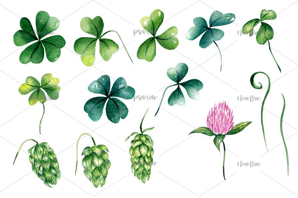 Watercolor Clover Clipart, St Patricks Day Clipart, Shamrock Clipart ...