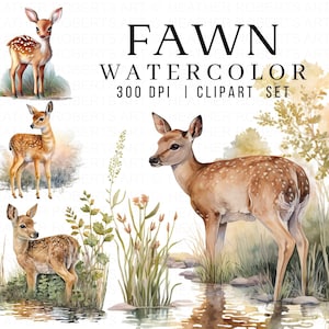 Watercolor Fawn Clipart, Fawn Cute Clip Art, Card Making Clipart ...