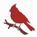 Cardinal Bird SVG, Northern Red Bird Svg, Red Cardinal, Cardial Clipart ...