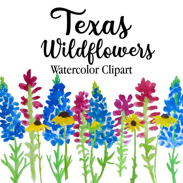 Texas Wildflowers - Etsy