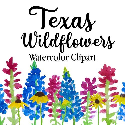 Texas Wildflowers Watercolor Clipart Bundle Hand Painted - Etsy