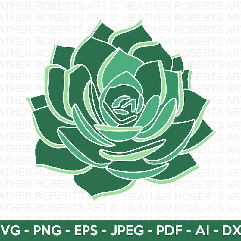 Succulent Svg - Etsy