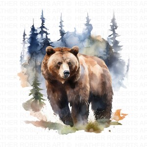 Grizzly Bear Watercolor Clipart, Grizzly Bear Cute Clip Art, Card ...