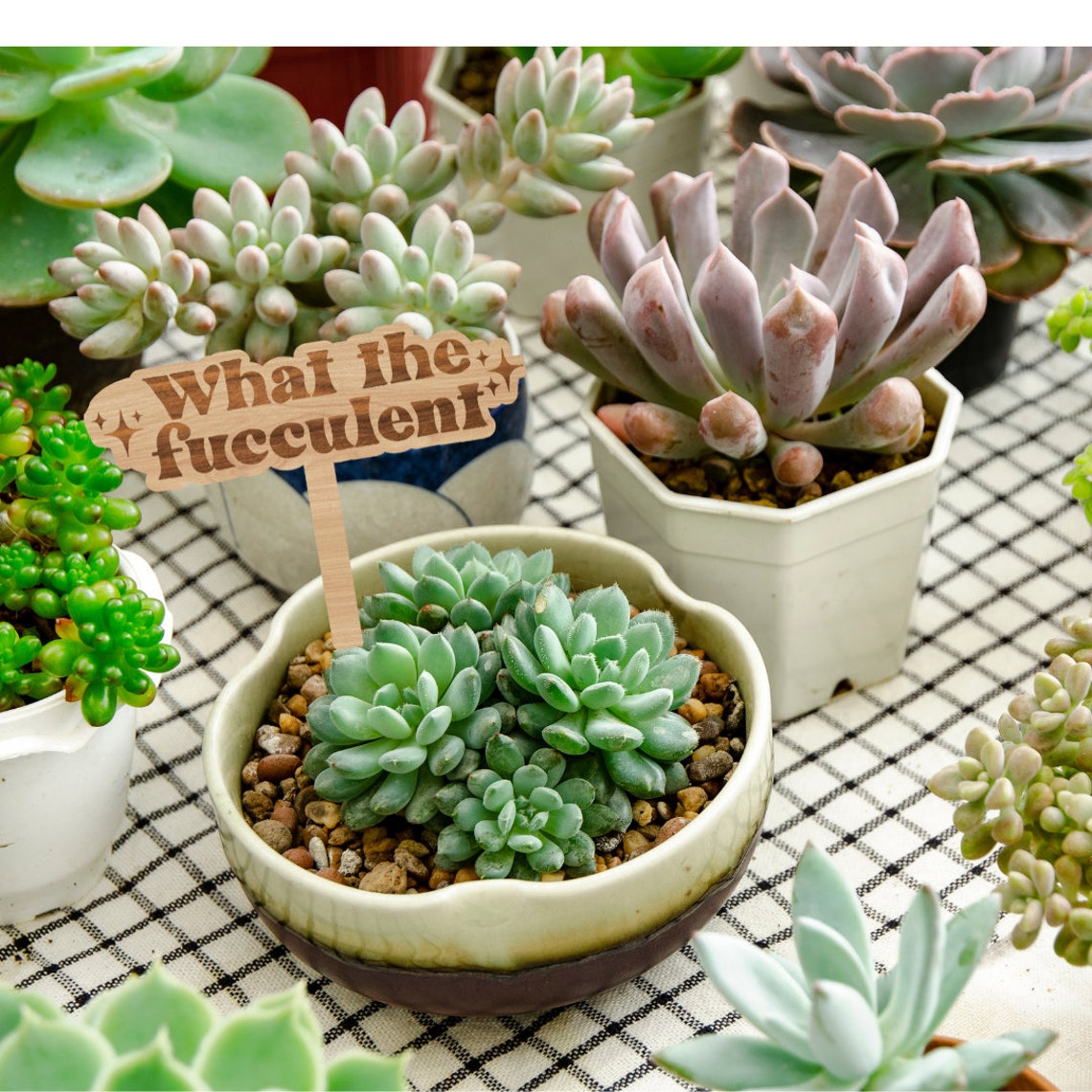 Plant Stakes SVG Bundle, Plant Lover SVG, Plant SVG, Plant Quotes Svg ...