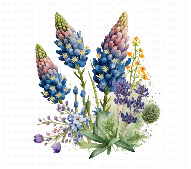 Bluebonnets Watercolor Clipart Texas State Flower - Etsy