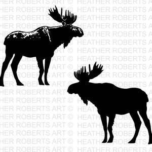 Moose SVG, Nature Moose Svg, Baby Moose Svg, Animals Svg, Moose ...