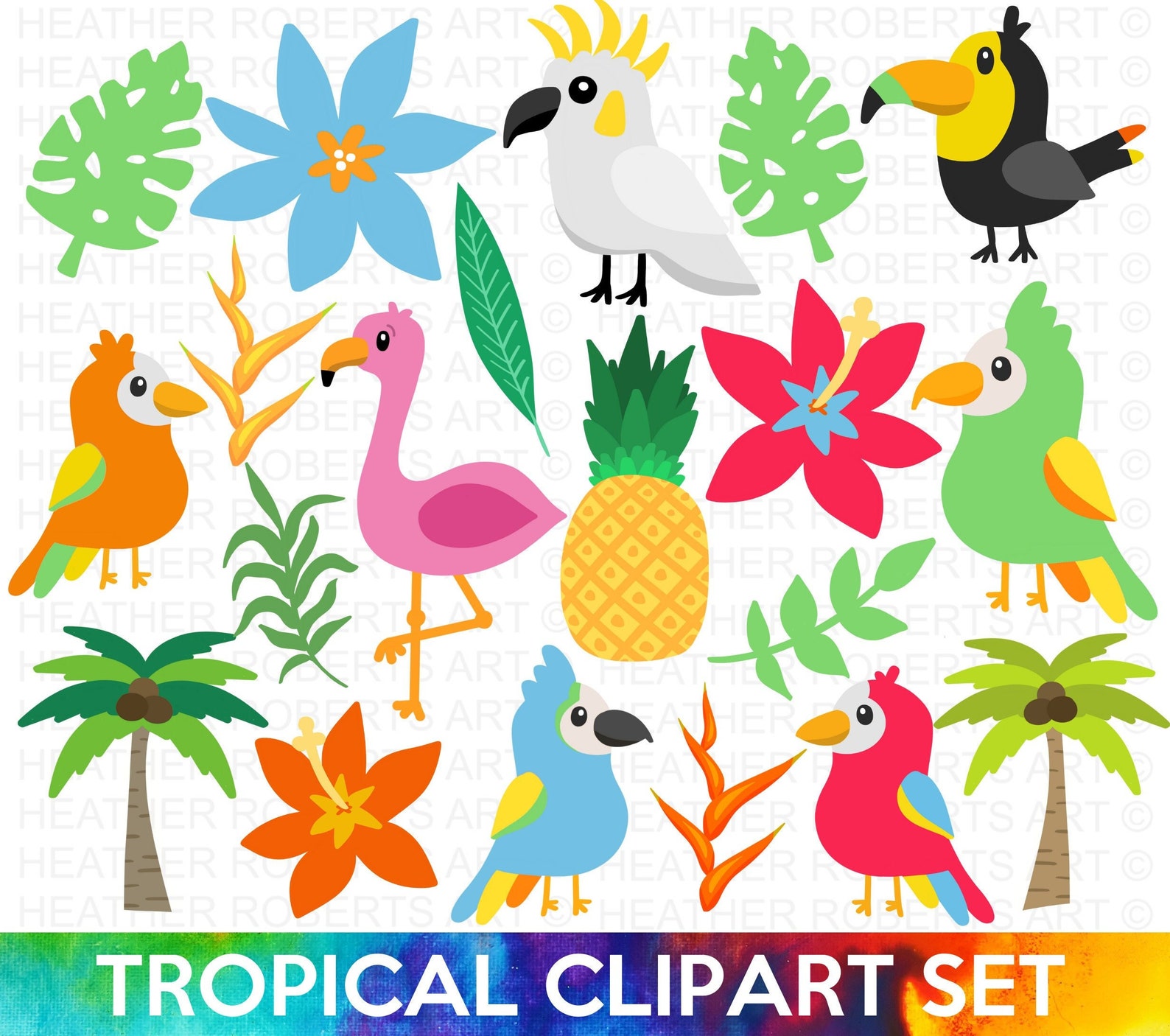 Tropical Birds Summer Clipart Set Tropical Birds PNG Coconut - Etsy