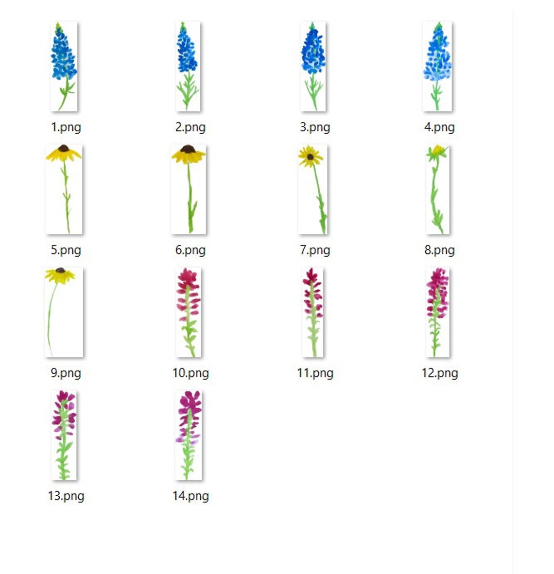 Texas Wildflowers Watercolor Clipart Bundle Hand Painted - Etsy