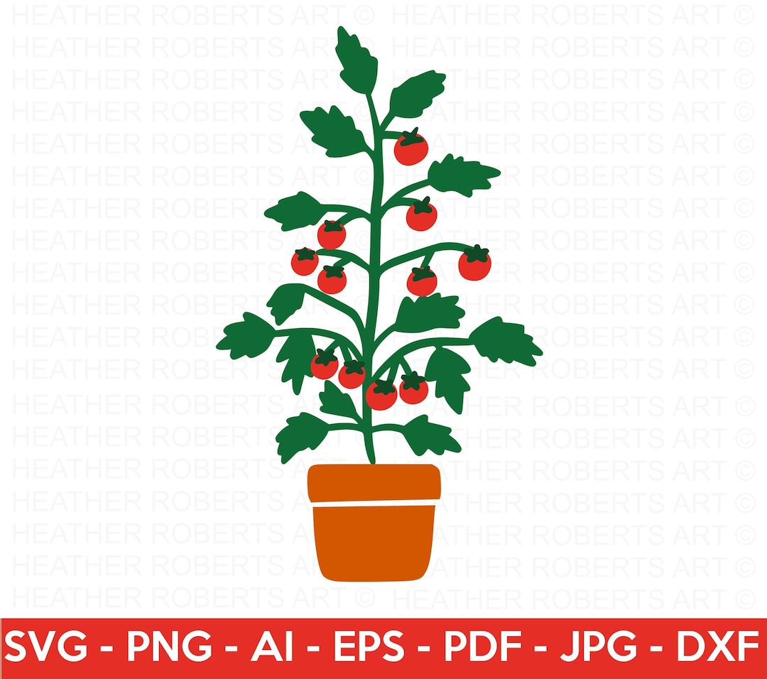 Tomato Plant Svg Tomatoes Svg Tomato Clipart Tomato Plant Cutting 9473