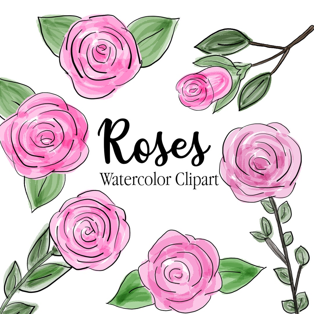 Pink Roses Watercolor Clipart Set (12 PNG Files) - Etsy