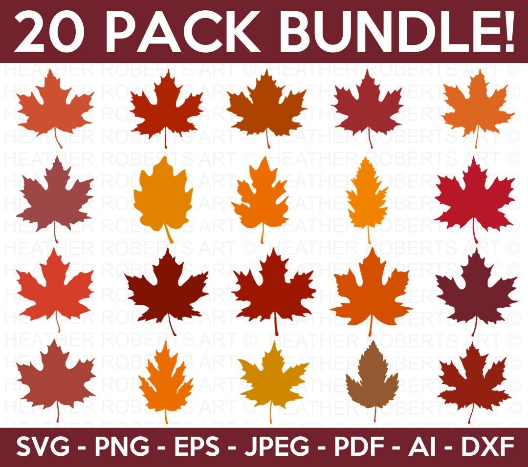Fall Leaves SVG Bundle, Fall Cliparts SVG Bundle, Maple Leaf Svg ...