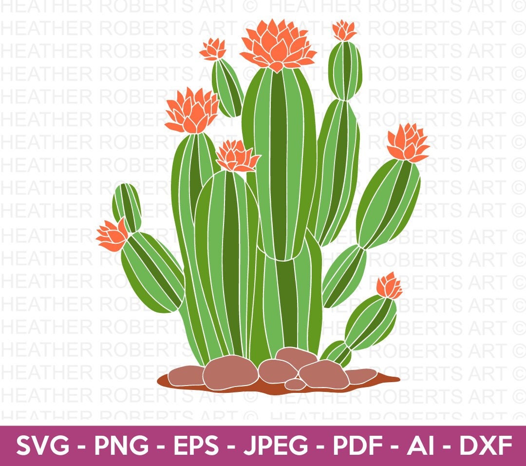 Cactus SVG: Succulent Plant Clip Art (digital Files) - Etsy