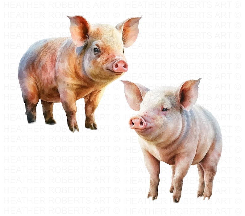 Farm Animals Watercolor Clipart Cute Farm Animals Clip Art - Etsy