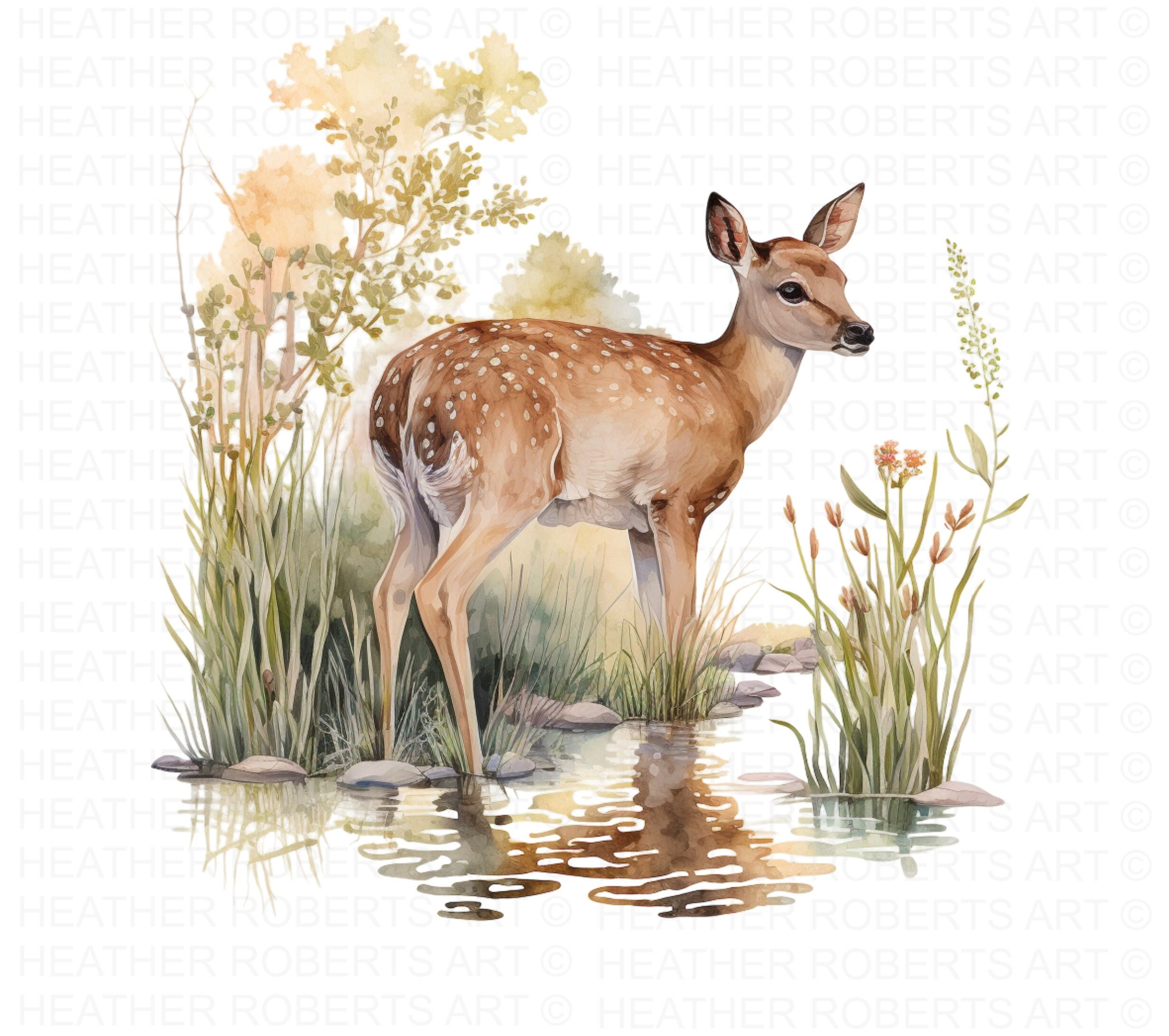 Fawn Art