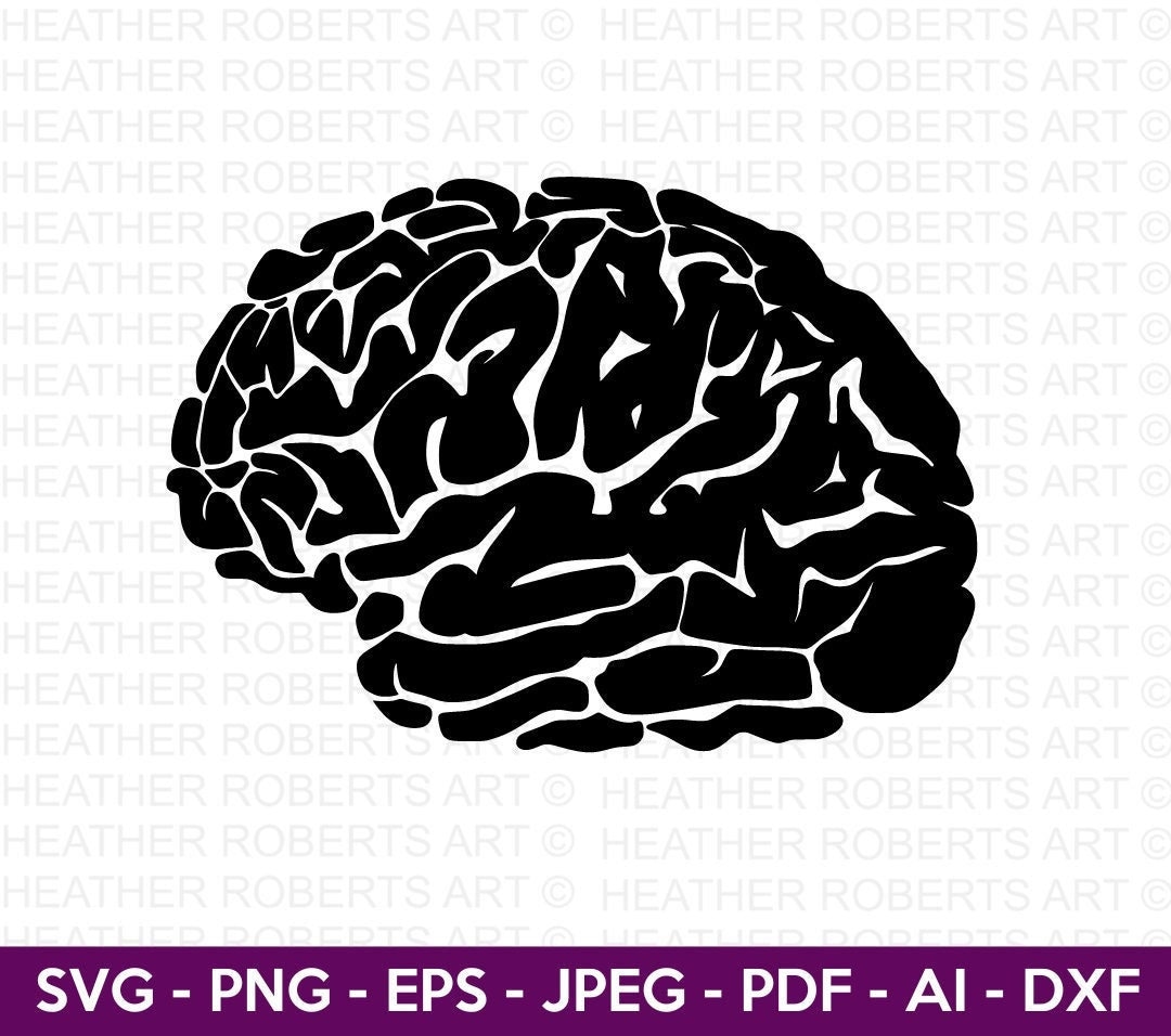 Brain Svg, Brain Clipart, Human Brain Svg, Mind Svg, Anatomy Svg, Head ...