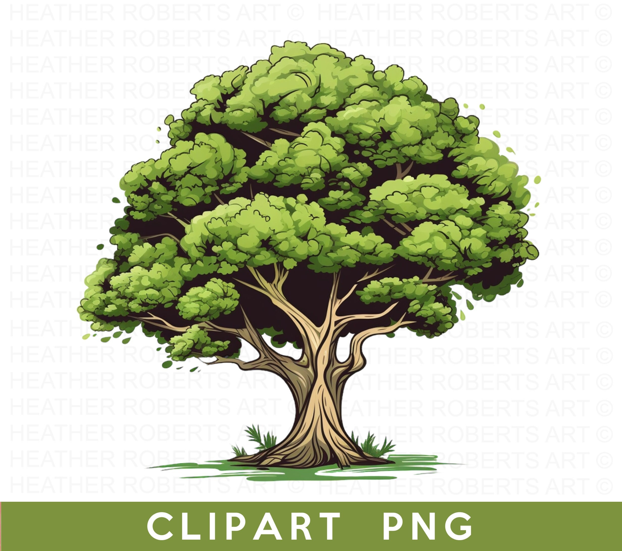 Tree Drawing With Color Png