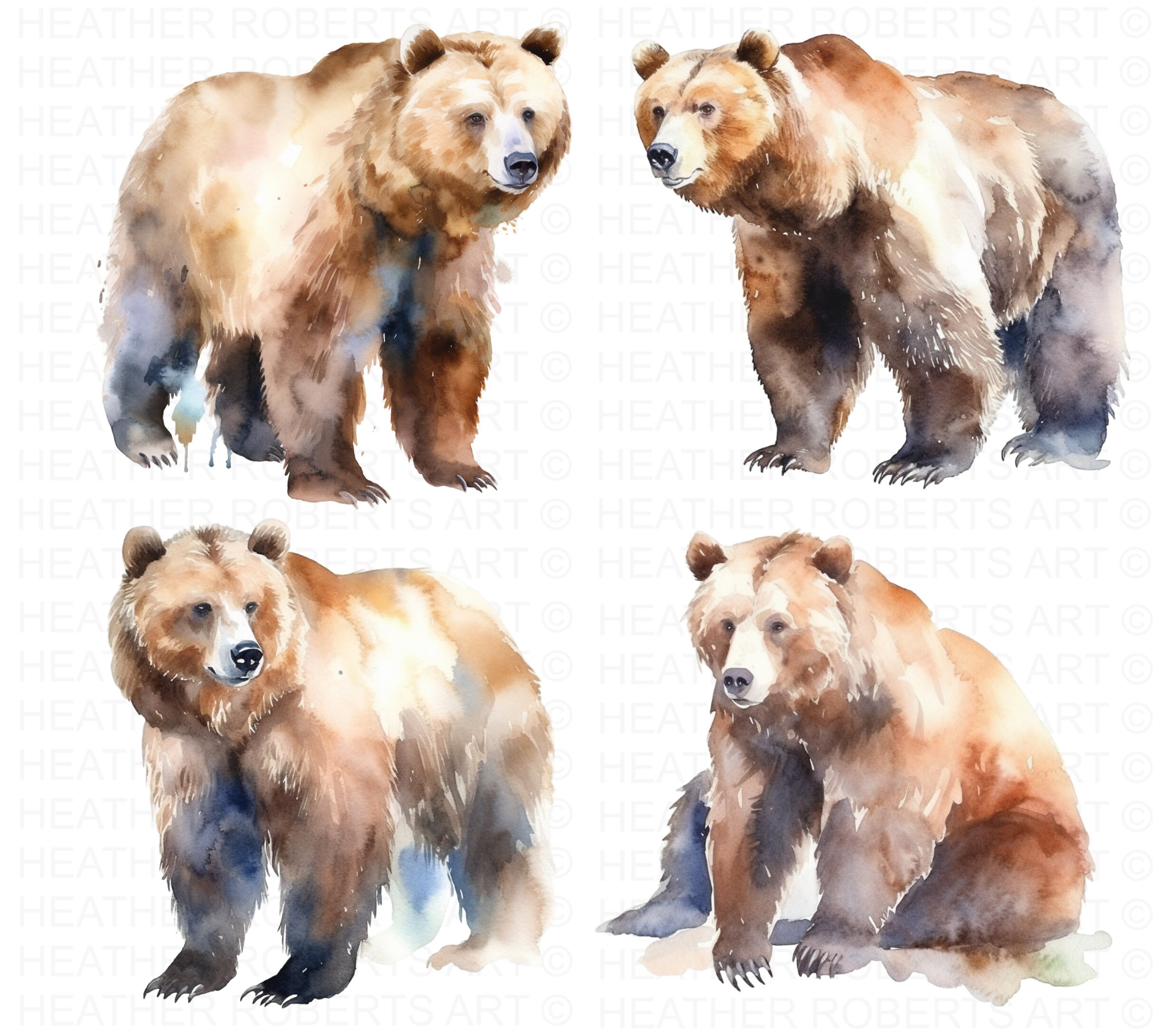 Grizzly Bear Watercolor Clipart, Grizzly Bear Cute Clip Art, Card ...