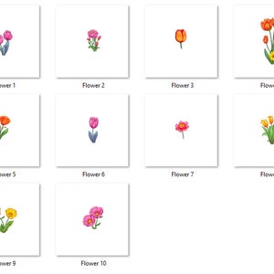 Colorful Flowers Clipart Set: Floral PNG Images (instant Download) - Etsy