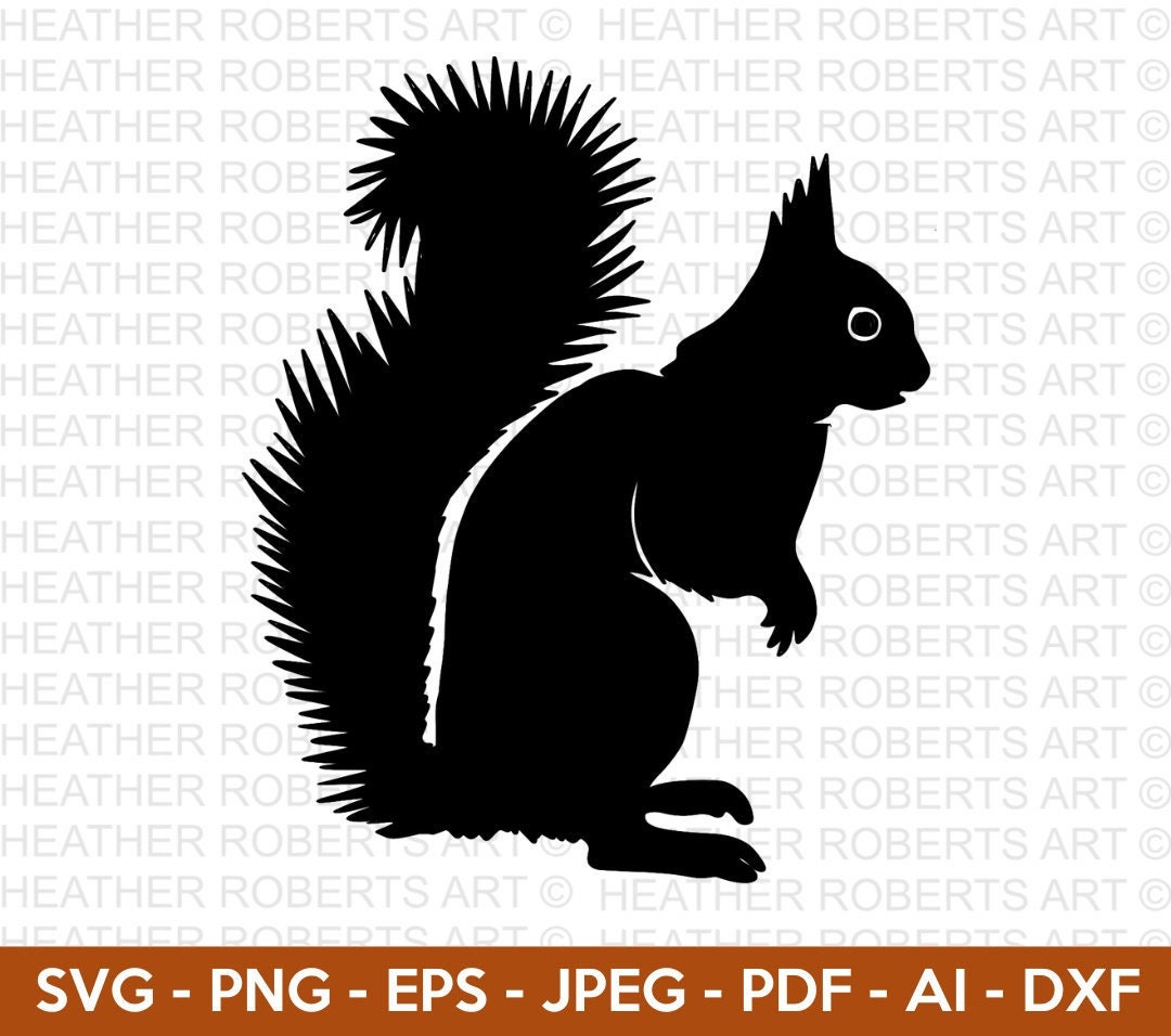 Squirrel Svg Baby Squirrel Svg Cute Squirrel Svg Forest - Etsy