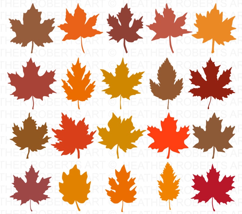 Fall Leaves SVG Bundle, Fall Cliparts SVG Bundle, Maple Leaf Svg ...