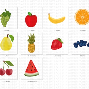 Obst Clipart Set, Früchte PNG, Clipart Set Erdbeere, Apfel, Kirschen ...