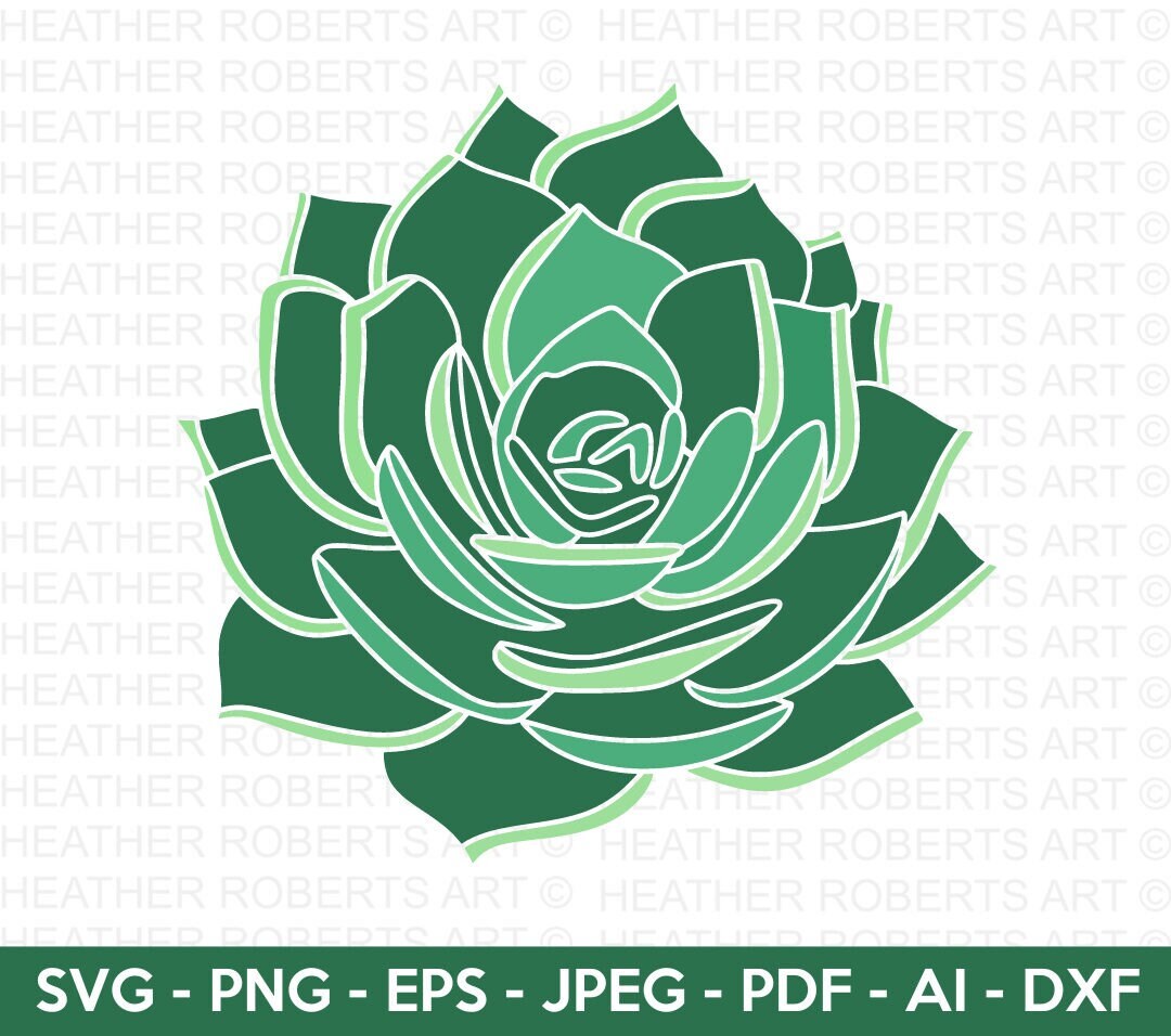 Succulent SVG, Plant, Summer Svg, Succulent Clip Art, Houseplant Svg ...