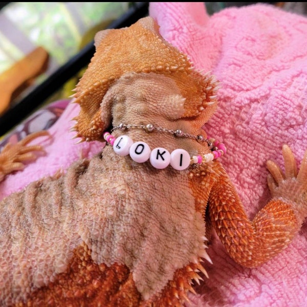 Bearded Dragon Jewelry - Etsy