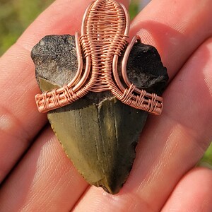 Fossilized Shark Tooth Pendant, Wire Wrapped Fossilized Shark Tooth ...