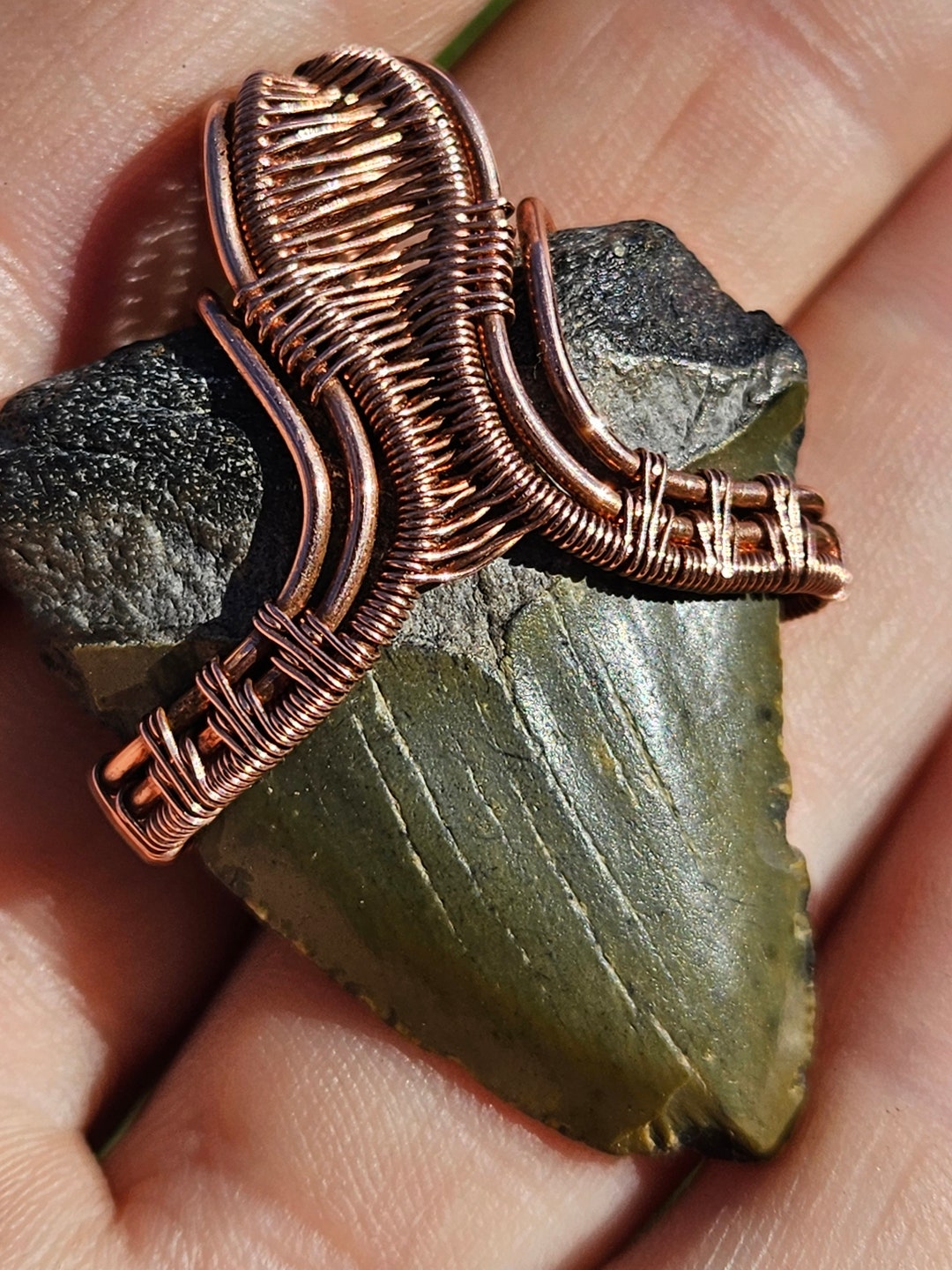 Fossilized Shark Tooth Pendant, Wire Wrapped Fossilized Shark Tooth ...