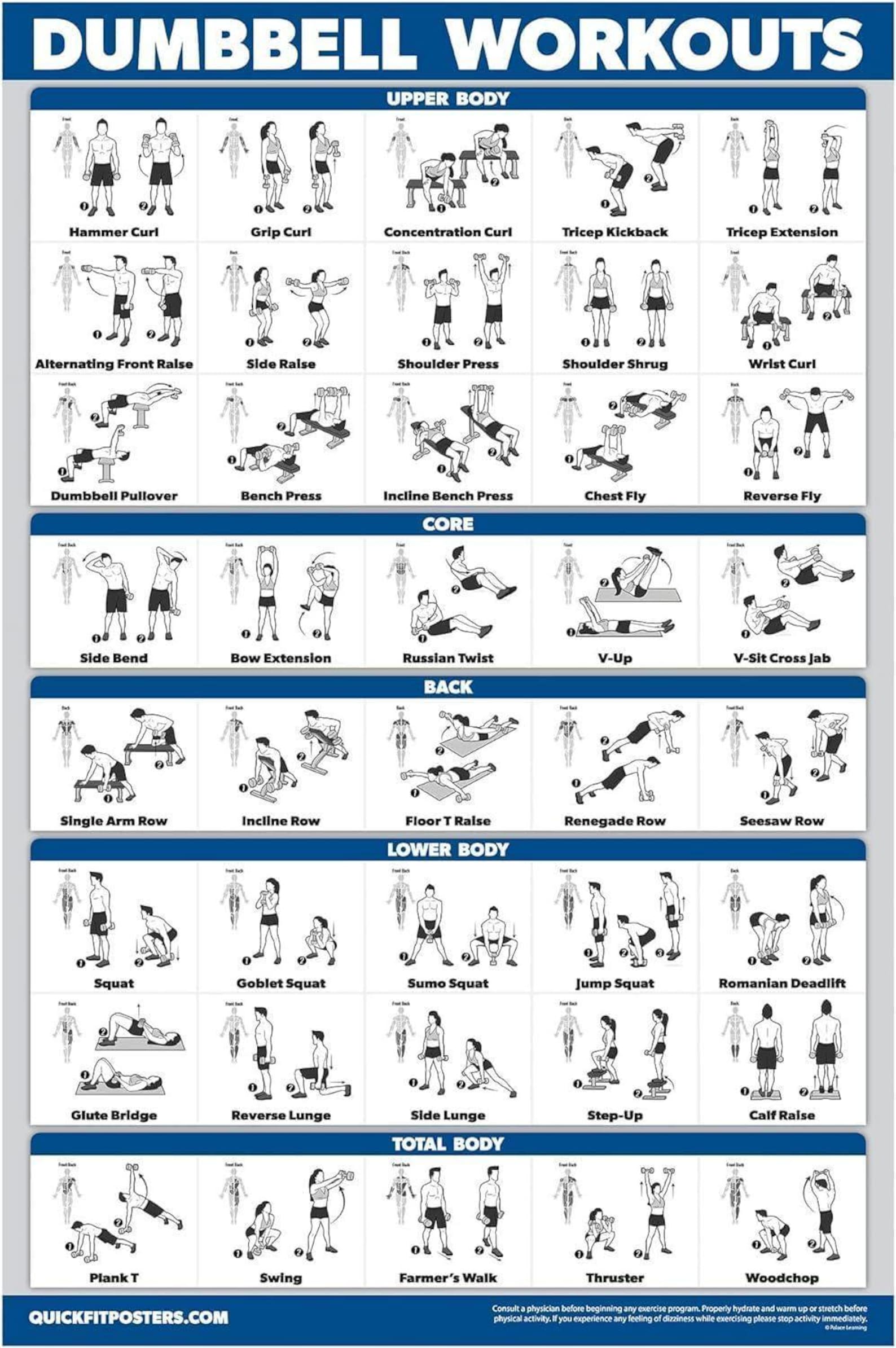 Palace Learning Dumbbell Workout Poster - Free Weight Body Building ...