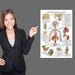 Laminated Endocrine System Anatomical Chart - Endocrine Anatomy Poster ...